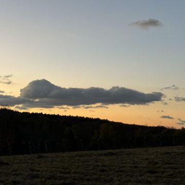 Mike Guilfoyle - Ordained Minister - Get Ordained