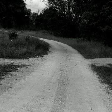 Silver Ibis - Ordained Minister - Get Ordained