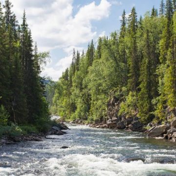Rev. John Bolen - Ordained Minister - Get Ordained