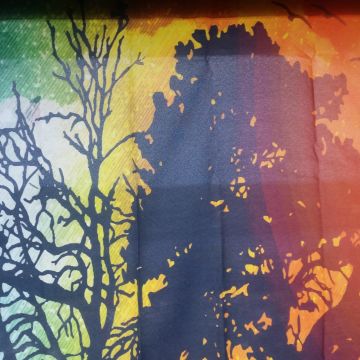 Cindi M - Ordained Minister - Get Ordained